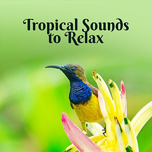 Play Tropical Sounds to Relax – Chill Out Beats, Tropical Island Rest ...
