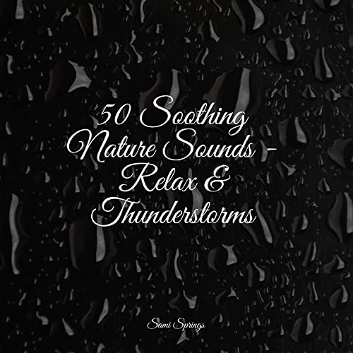 Play 50 Soothing Nature Sounds - Relax & Thunderstorms by Rain Hard ...