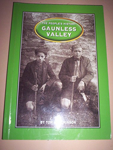 The Gaunless Valley: Amazon.co.uk: Hutchinson, Tom: 9781902527734: Books