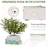 Amazon.com : Book Planter Pots for Plants, Ceramic Planters With ...