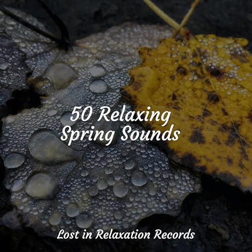 Amazon Music - Music For Absolute Sleepの50 Relaxing Spring Sounds ...