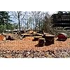 Amazon.com : DeerBusters 8' x 100' Welded Wire 14 Gauge Before PVC ...