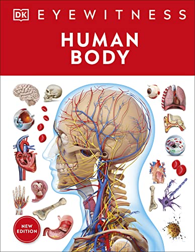 Human Body (DK Eyewitness) - Kindle edition by DK. Children Kindle ...