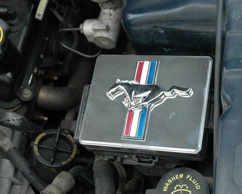 Amazon.com: Mustang Polished Stainless Fuse Box Cover Running Horse Tri ...