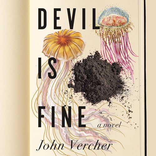 Amazon.com: Devil Is Fine: A Novel (Audible Audio Edition): John ...