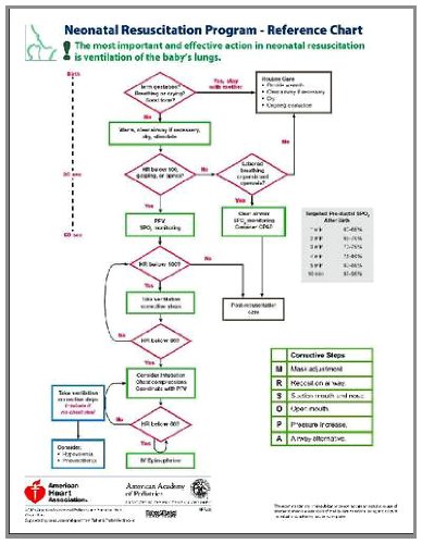 Neonatal Resuscitation Program Reference Chart Small Laminated Chart ...