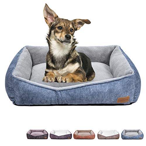 The 30 Best Square Dog Beds of 2025 [Verified] - Cherry Picks
