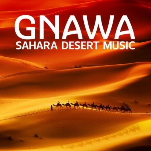 Amazon.com: Gnawa - Sahara Desert Music : VARIOUS ARTISTS: Digital Music