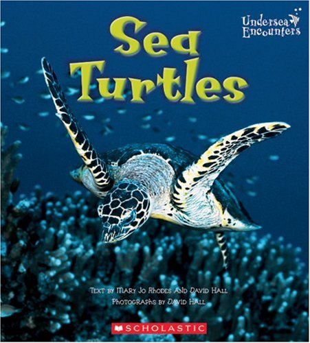 Sea Turtles (UNDERSEA ENCOUNTERS): Rhodes, Mary Jo, Hall, David ...
