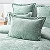 Amazon.com: Fredsure Distressed Velvet Comforter Set, 5 Pieces Sage ...