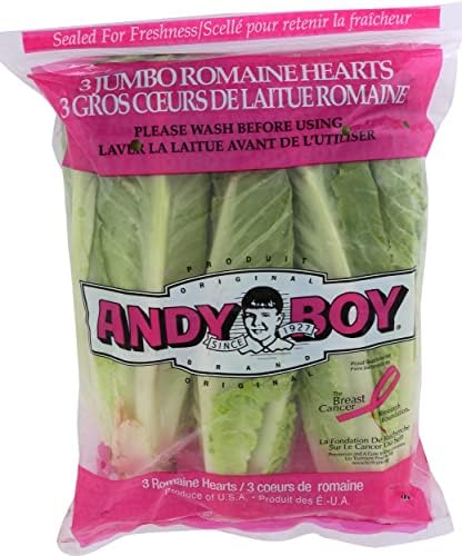 Amazon.com: Andy Boy, Salad Bag Romaine Lettuce, 1 Pack : Grocery ...