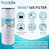 Amazon.com : Poolzilla 1-Pack Replacement for Pool Filter PLFPA200S ...