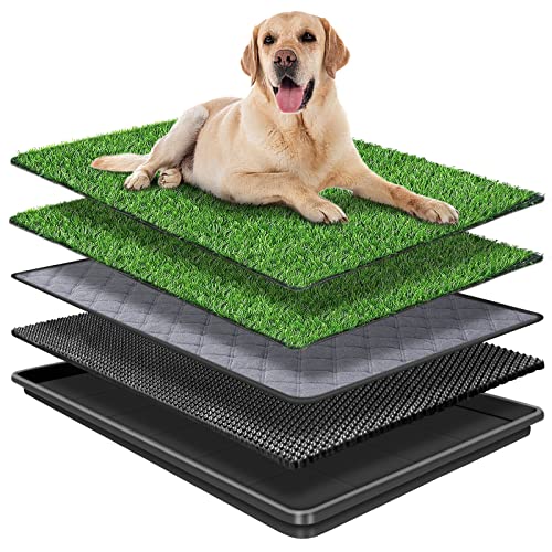 Top 10 Extra Large Dog Litter Boxes Reviewed and Rated! - Furry Folly