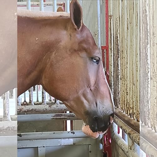 Run Free by Creative heART Kyle on Amazon Music - Amazon.com