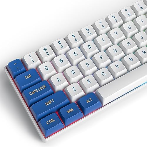 Amazon.com: Blue White 118 Key Cap Group, CSA Profile Custom Keycaps ...