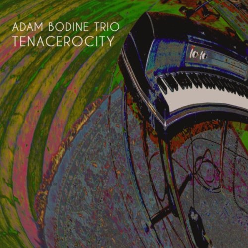 Amazon Music - Adam Bodine TrioのTenacerocity - Amazon.co.jp