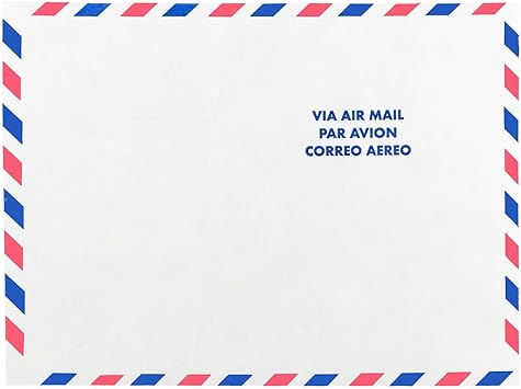 Amazon.com : JAM PAPER Tyvek Tear-Proof Open End Catalog Envelopes - 9 ...