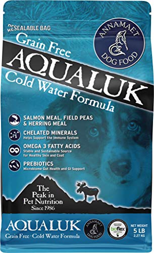 Chill Out! Top 10 Cold Dog Foods to Keep Your Pooch Happy and Healthy ...