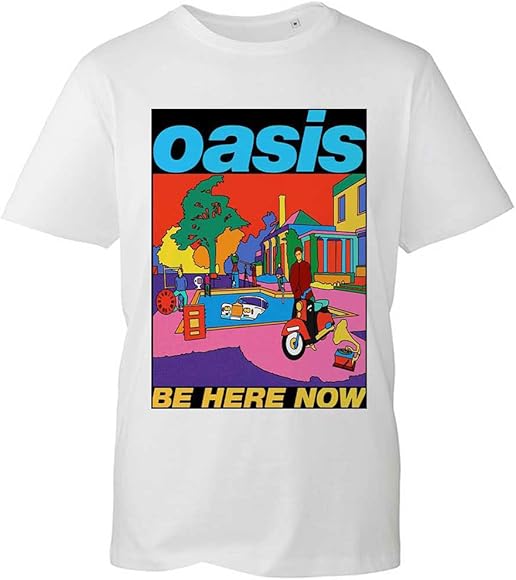 Oasis Logo Filter Face 100 Sq Ft System Light Grey New Style