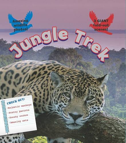 Fold Out Poster Books: Jungle Trek: Kathryn Jewitt: 9781407563824 ...