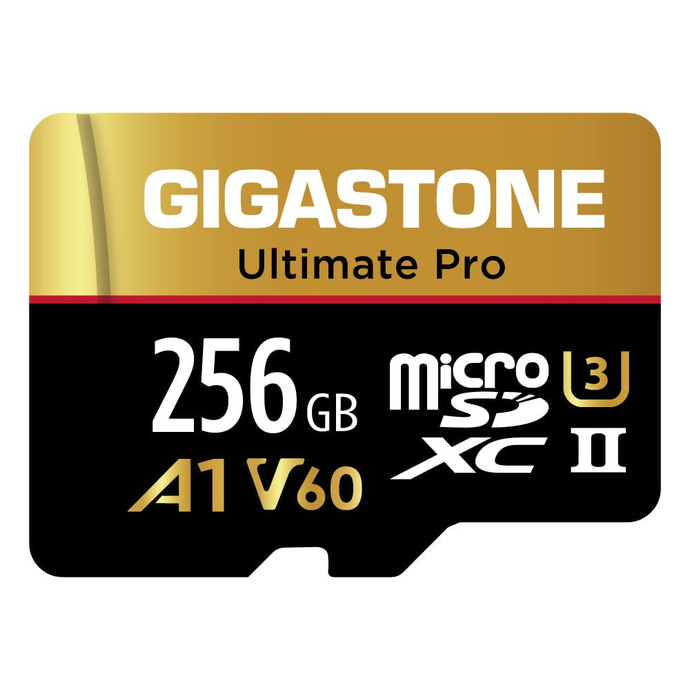 Amazon.com: [5-Yrs Free Data Recovery] GIGASTONE 256GB Micro SD Card ...