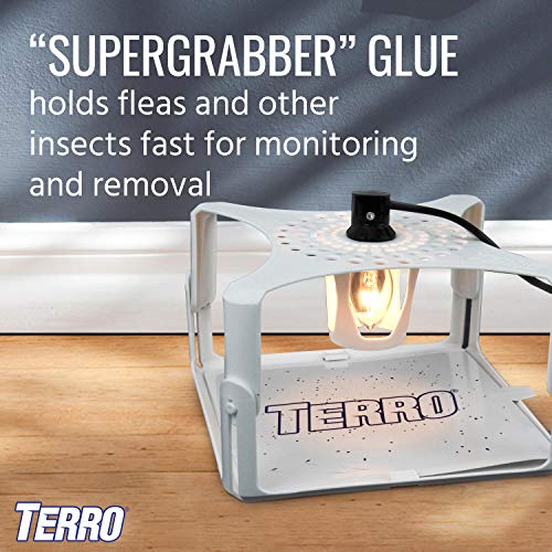 TERRO Flea Trap Refill Pack of Glue Cards for T230 Indoor Flea Trap - 3 ...