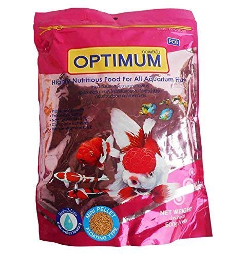 Buy Foodie Puppies Optimum Highly Nutritious Fish Food for All Aquarium ...