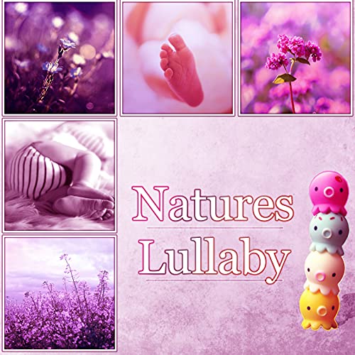 Play Natures Lullaby - Anti Stress Music to Sleep Through the Night ...