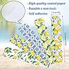 Amazon.com: JarThenaAMCS 69Ft Summer Bulletin Board Borders Watercolor ...