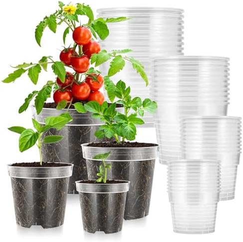 Amazon.com: SUNPRO Clear Nursery Pots for Plants - 10 Pack Transparent ...