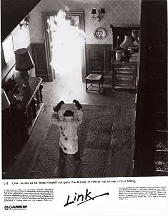 MOVIE PHOTO: LINK-1986-LINK-8X10 NM at Amazon's Entertainment ...
