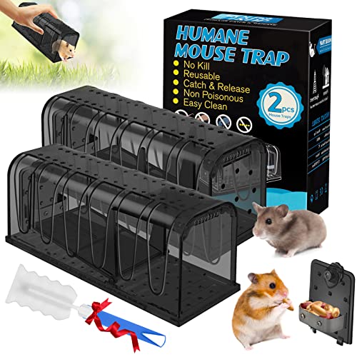 Top 10 Best No Kill Mouse Trap : Reviews & Buying Guide - Katynel