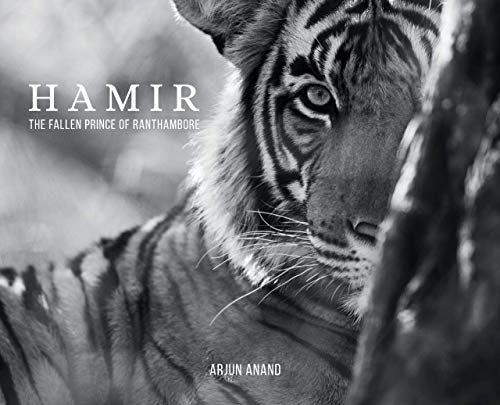 Ratish Nair's Amazon Page