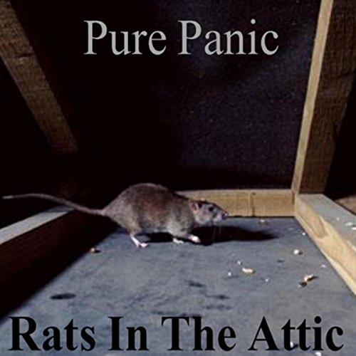 Play Rats in the Attic by Pure Panic on Amazon Music