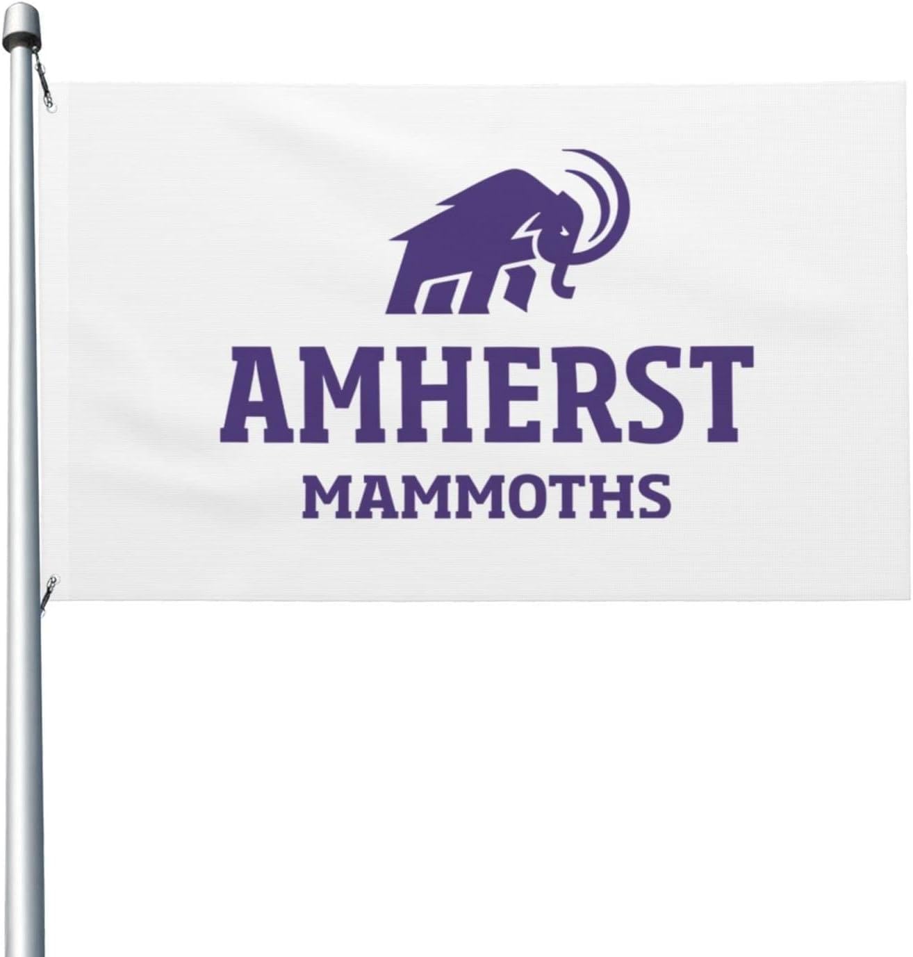 Amherst College Logo Amherst College 12x30 Pennant: Amherst College