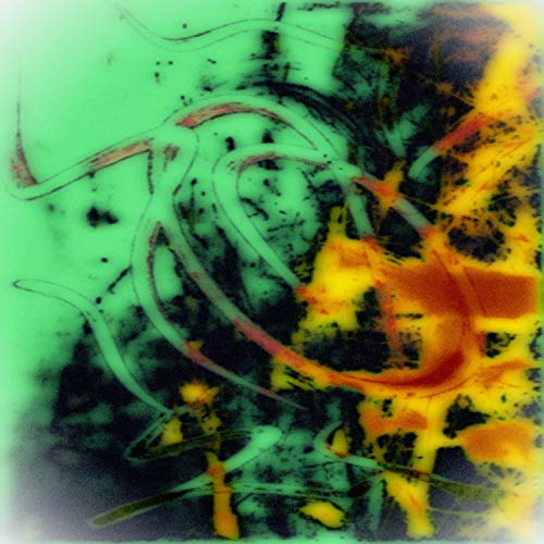 AstroShark Four von John Michael Davis bei Amazon Music - Amazon.de