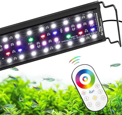 Amazon.com : AQQA Aquarium Light, DIY Infinitely Adjustable Light Color ...