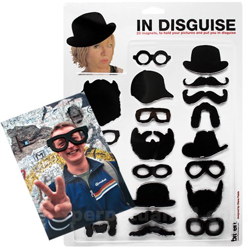 NUOP Design In Disguise Refrigerator Picture Magnets : Amazon.in: Toys ...