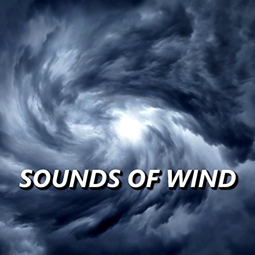Amazon.com: Sounds of Wind : Wind Sounds: Digital Music