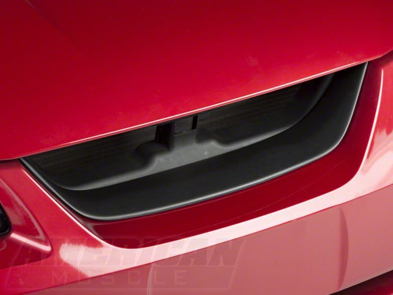 Mustang Grille Delete Panel 1999-2004 Ford Mustang Mach 1 Lower Front ...