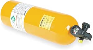 MSA 809872-SP Air Cylinder and Valve Assembly - Amazon.com