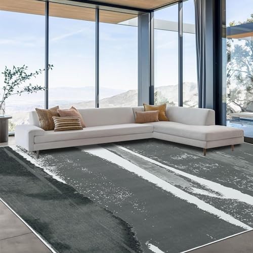 Amazon.com: HOMBYS 10x14 ft Modern Area Rug for Living Room Bedroom ...