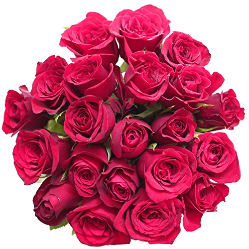 Florazone Sweet 20 Red Roses Bouquet : Amazon.in: Home & Kitchen