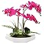 Amazon.com: Orchids Artificial Flowers 15" Large Fake Orchid White ...