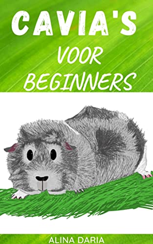 Cavia – Die 16 besten Produkte im Vergleich - Haustierratgeber Ratgeber