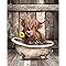 SYMON Cross Stitch Kits for Adults,Highland Cow,11CT Counted Printed ...
