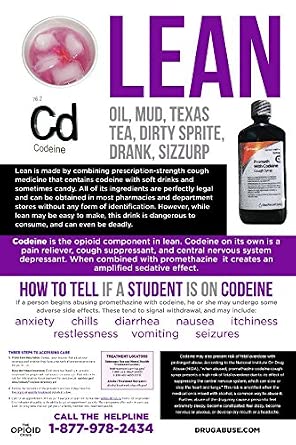 The Opioid Crisis : Lean poster: James Hickman: 9781944813550: Amazon ...