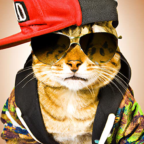 Cat Rap by Grandayy on Amazon Music Unlimited