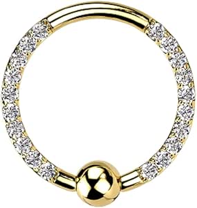 Amazon.com: Pierced Owl 16GA G23 Implant Grade Titanium Front Facing CZ Crystal Paved Captive ...