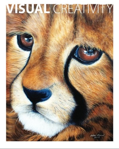 Amazon.com: Visual Creativity: 9781481983167: McGough, Mark: Books